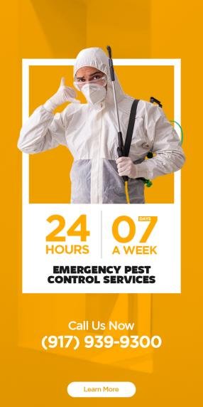 Nyc Bed Bug Treatment Services Empire Exterminators